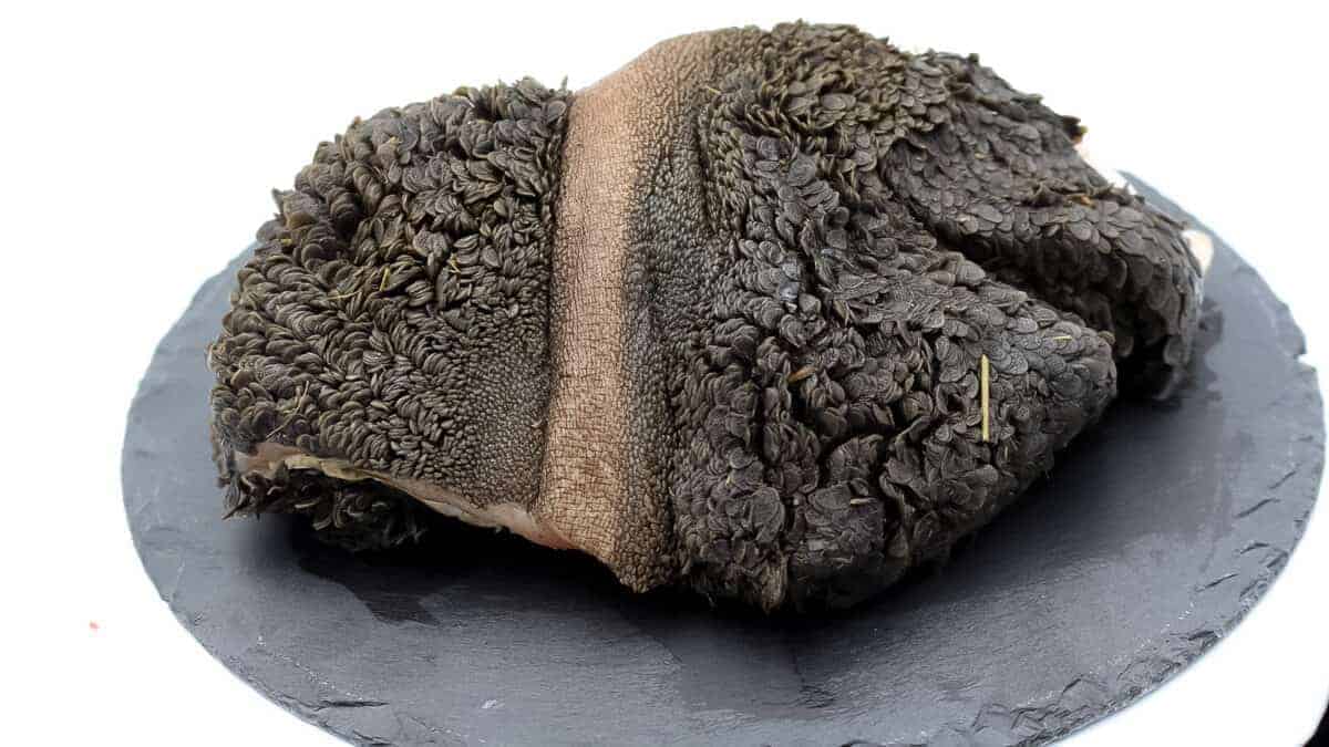 Der Pansen (Rumen) - Gut für den Hund? - Futterplan.net